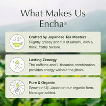 Organic Latte Grade Matcha Powder - Encha Matcha