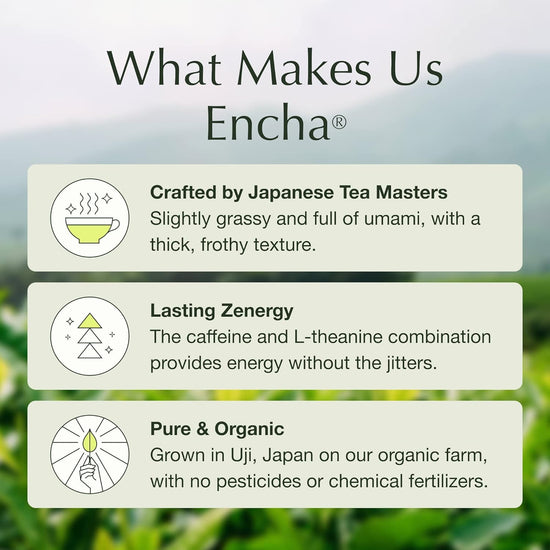 Organic Ceremonial Matcha Green Tea Powder - Encha Matcha