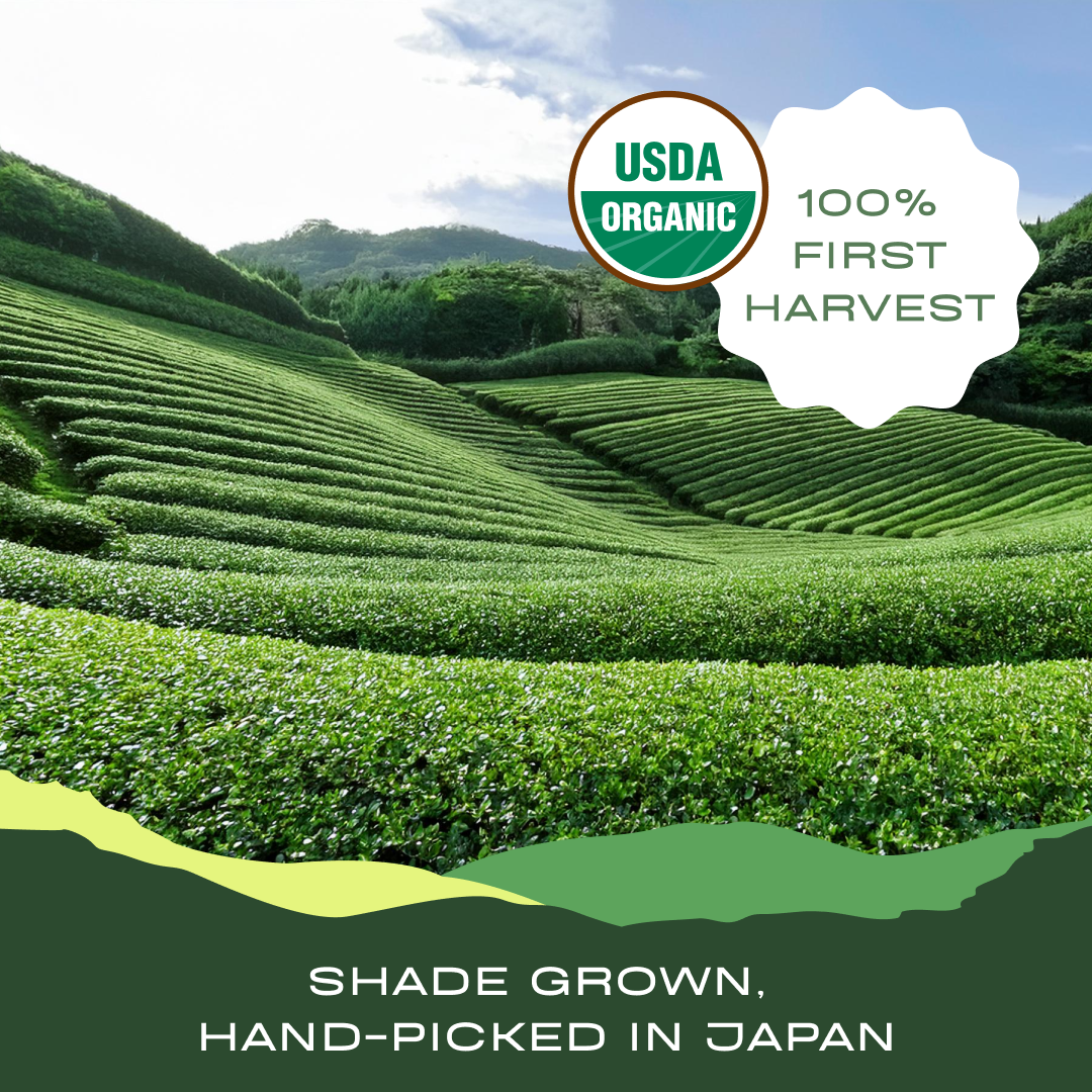 Organic Ceremonial Grade Matcha Green Tea Powder - Encha Matcha