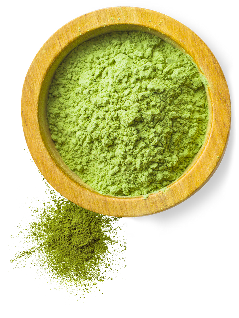 Encha Matcha, Organic Green Tea Matcha from Uji, Japan